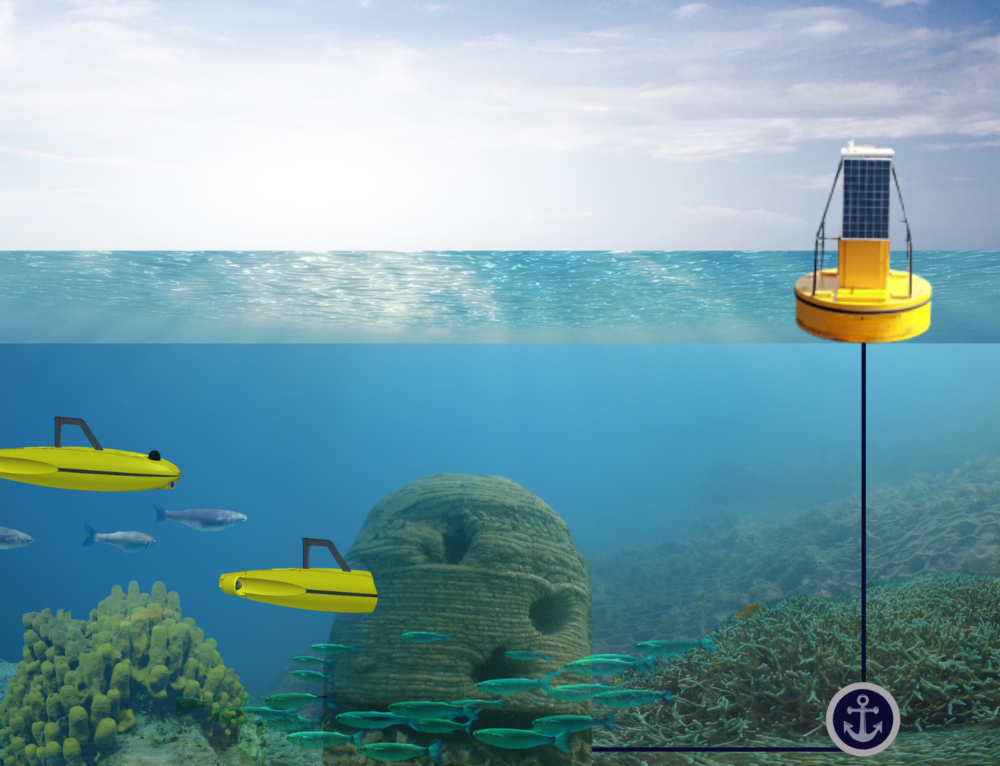 Power in Numbers: Unleashing Swarms of Micro-Autonomous Underwater ...
